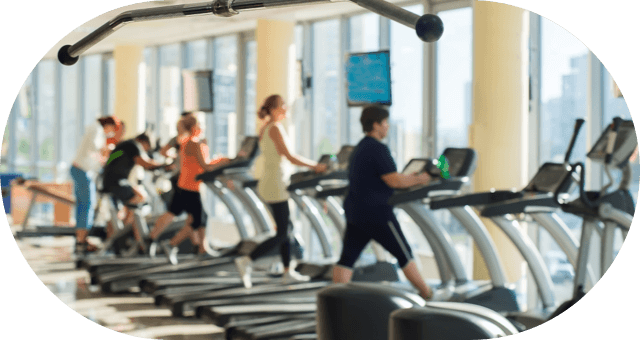 Our Licence - AVLA Website