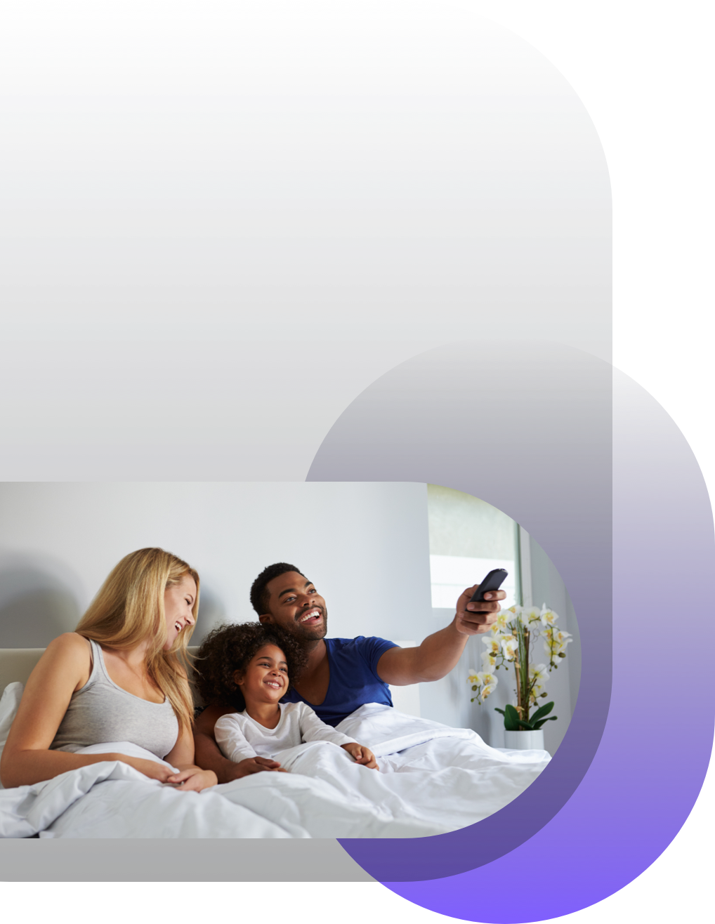 About AVLA - AVLA Website